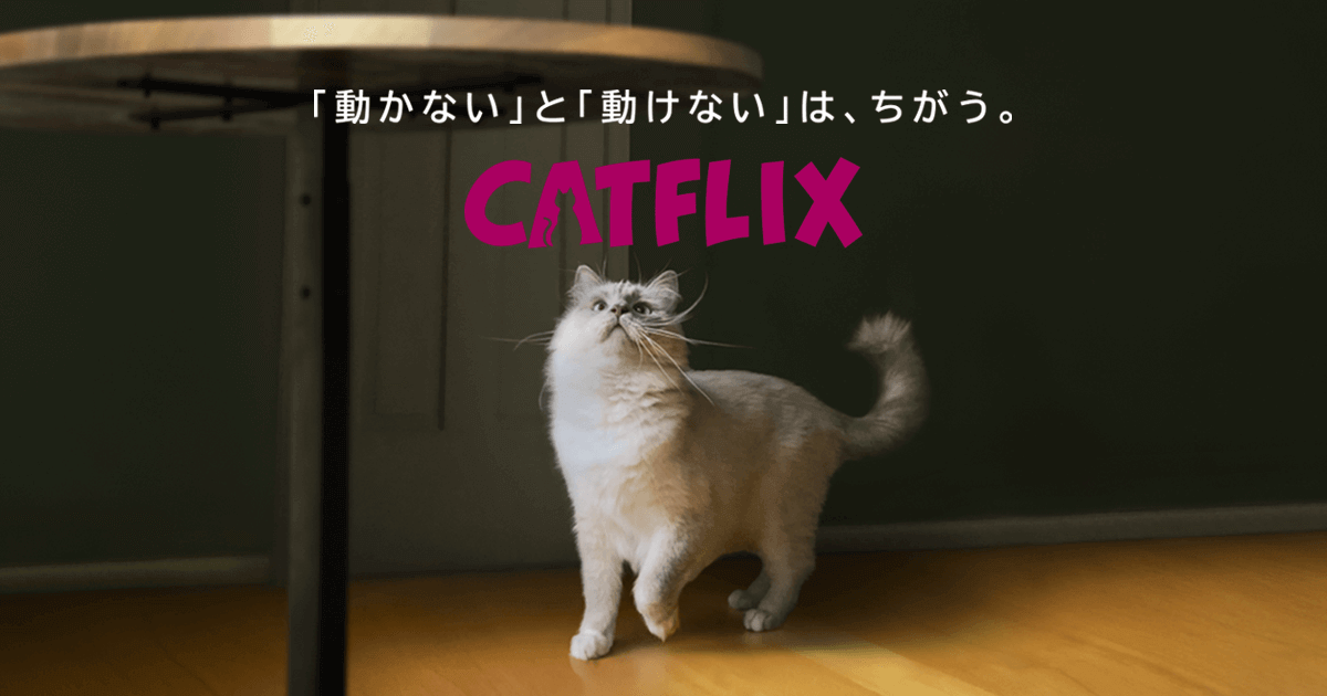 動画で気づこう！猫動画プロジェクトCATFLIX｜ゾエティス | Zoetis JP
